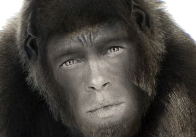 Morph your face into 5 different animal faces by Swisswatches Morph your face into 5 different animal faces by Swisswatches