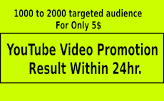 Online Video Marketing Freelance Services | Fiverr