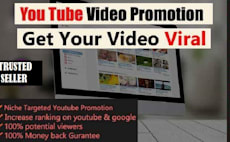 Video marketing services & Video promotion specialists for hire