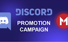 24 Best Discord Promotion Services To Buy Online | Fiverr