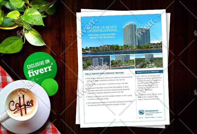 professional flyer or trifold brochure design