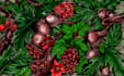 Draw beautiful botanical, cute flower, plant, fruits for any by Minorya ...