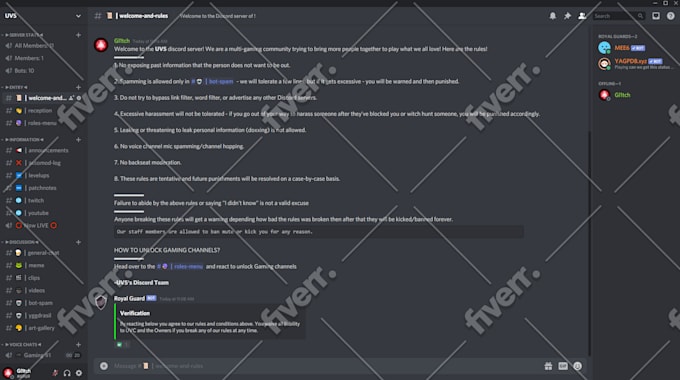 Professionally setup your discord server by Usamarashid2840