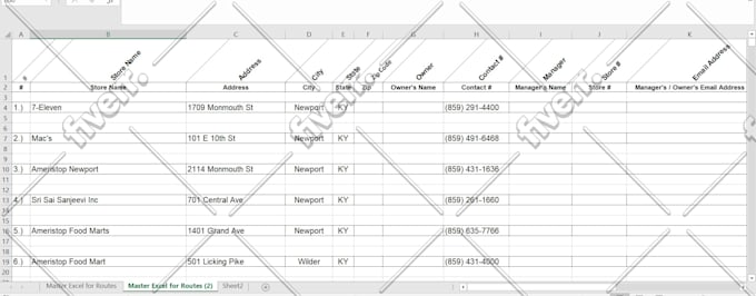 Do fast excel data entry and web research by Wasimkhizar | Fiverr