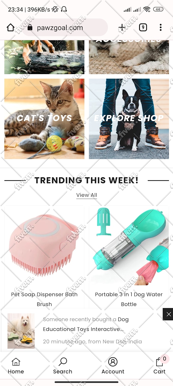 Build a dog cat animal pet shopify store and dropshipping website by ...