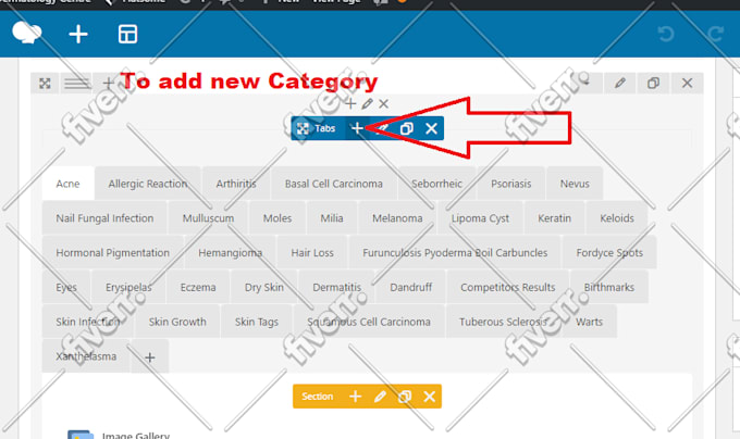 Fix all kind of errors and customize your website by Web_cheese | Fiverr