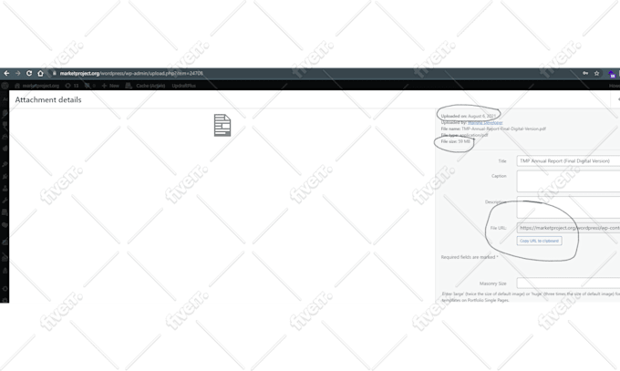 I will troubleshoot your wordpress website – Fiverrpro I will troubleshoot your wordpress website – Fiverrpro