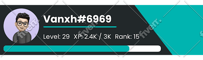 Build you your own custom discord bot by Vanxhh | Fiverr