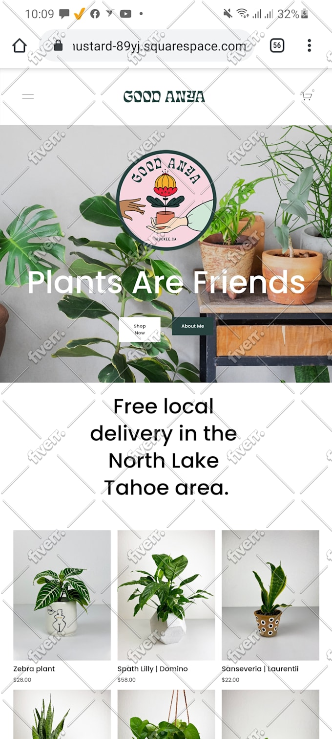 Add custom html, css and js code squarespace website by Zarcotech | Fiverr