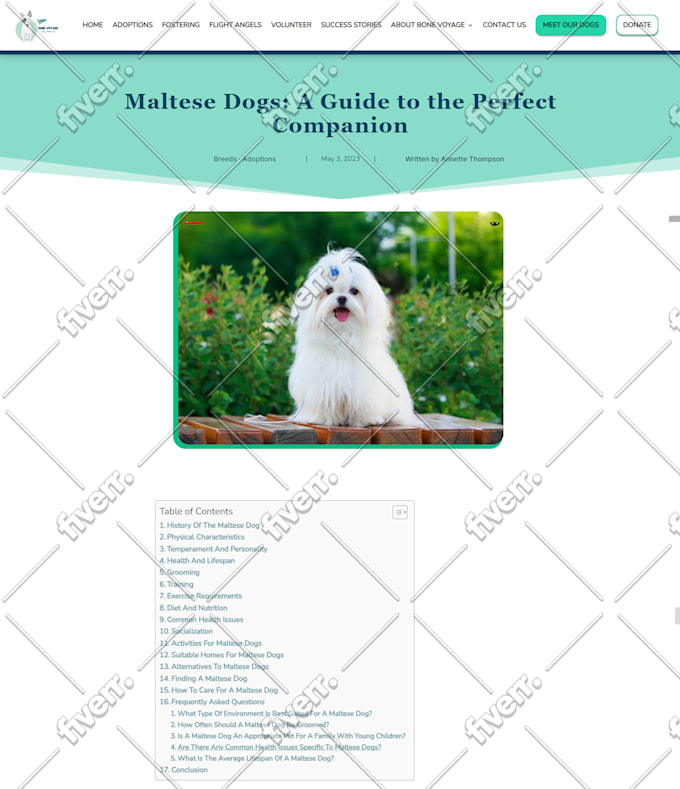 Fix wordpress website bugs, html, css, issues, elementor, divi error ...