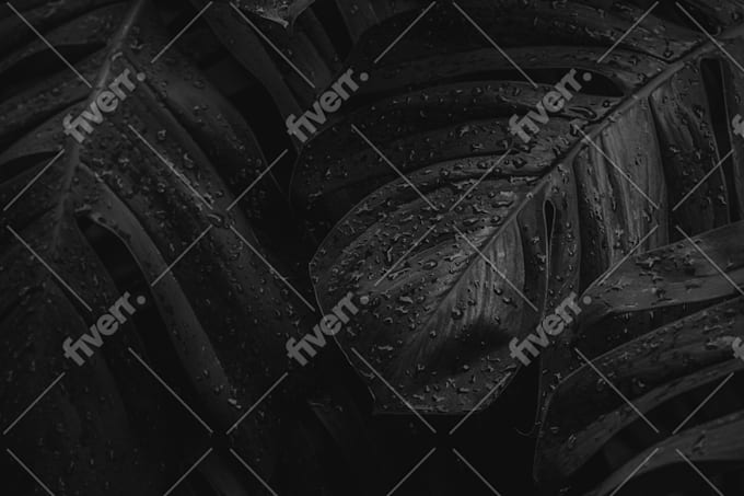 Create the perfect efi for your hackintosh by Reicore | Fiverr