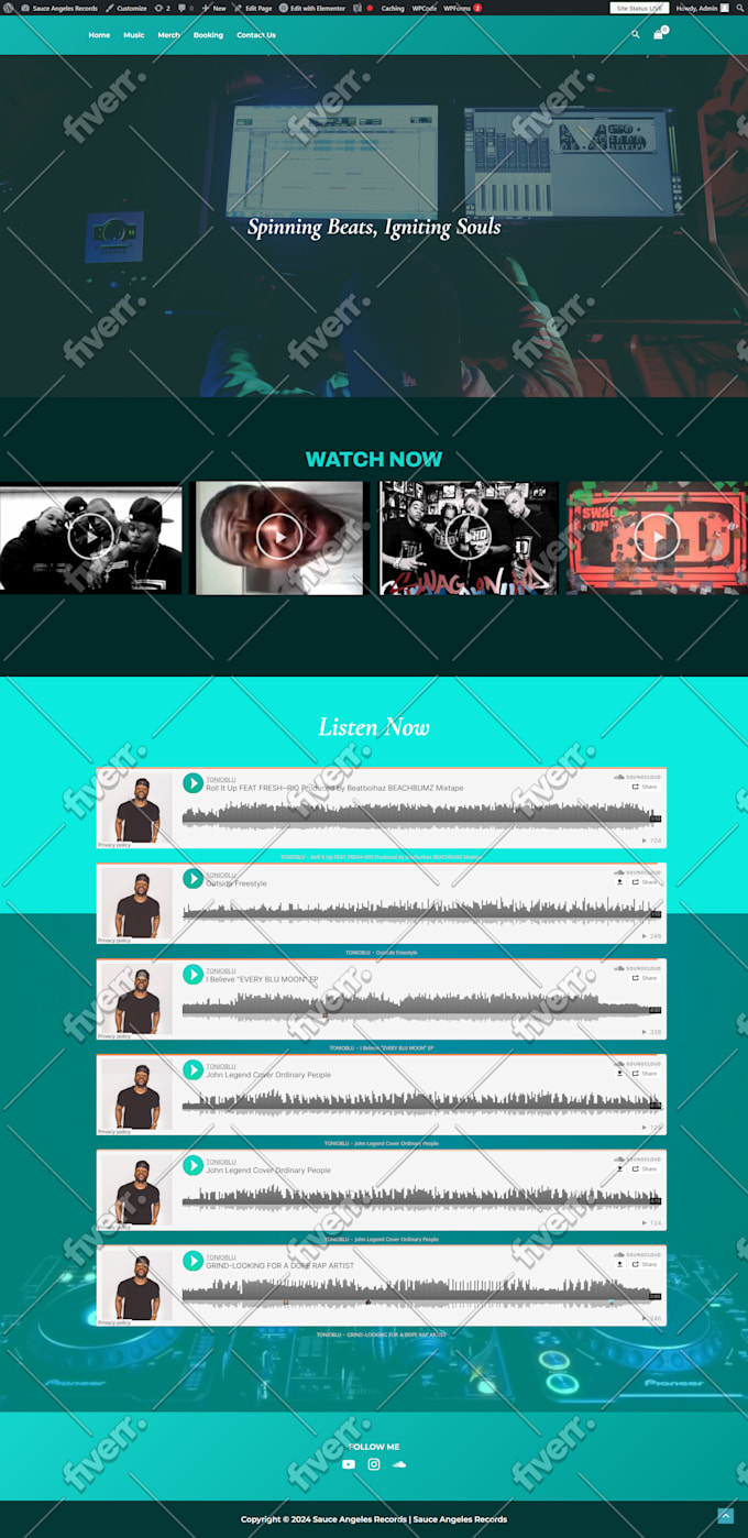 Design develop artist website epk sheet, press kit,media kit by ...