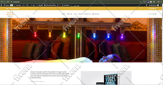 Fix wordpress, woocommerce issues, bugs and errors or do customization by Blur_new | Fiverr