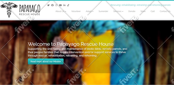 Customize, redesign, and fix wordpress website by Gurusol | Fiverr