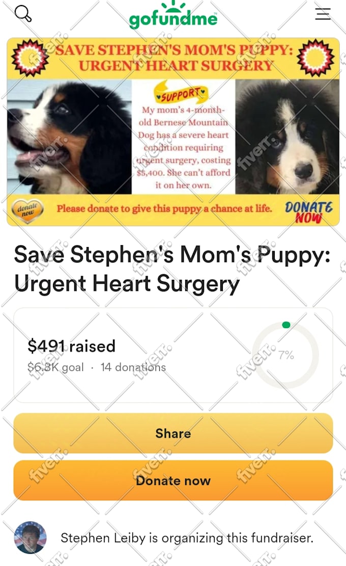 Create and promote your gofundme campaign by Ruby272 | Fiverr