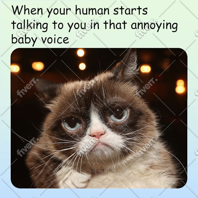 funny animals talking