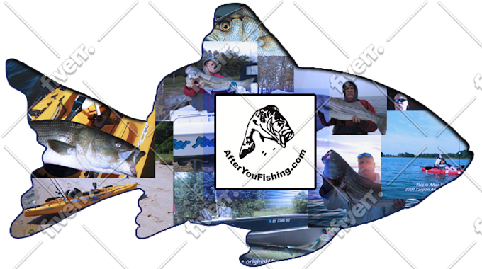 Create a very clean looking collage for your portfolio by ...