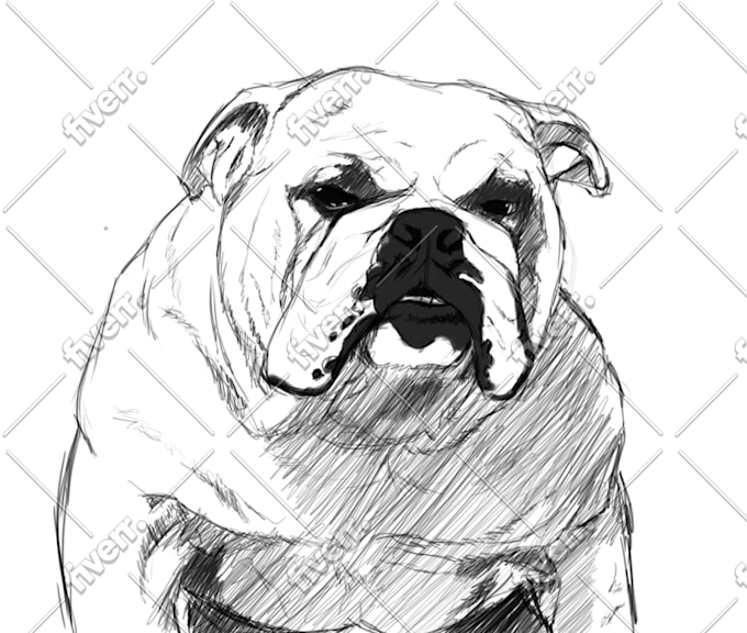 Create a digital line drawing from your photo by Bard_man | Fiverr