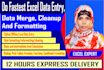 Do fastest excel data entry, data merge, cleanup and formatting by ...