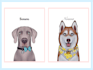 Create your pet as an adorable digital cartoon by Dogmomdraws | Fiverr