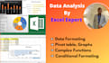 Be your data analyst, excel dashboard and visualization expert by ...