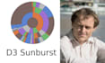 Create a sunburst diagram using d3 by Dynamicd3 | Fiverr