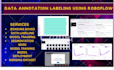 Perform professional data annotation, labeling, roboflow, cvat by Datawizhub | Fiverr