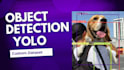 Do object detection face recognition yolo segmentation ai
