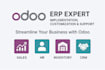 Provide professional odoo erp implementation, customization and support by Nayelhashmi | Fiverr