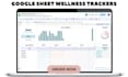 Create google sheets program tracker spreadsheet for wellness brands by ...