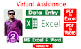 Be virtual assistant for excel data entry by Pk2oon | Fiverr