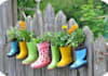 Show you how to create a funky container garden by Gardenqueen | Fiverr
