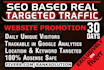 Drive usa targeted traffic, real seo organic web visitors for 30 days ...