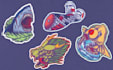 Hand drawn sticker and merch for clothing brand by Bekarious_ | Fiverr
