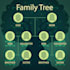 Family tree genealogy flow chart family illustration family crest by ...