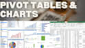 Create excel data analysis, pivot tables, charts, and insights by Beltransara | Fiverr