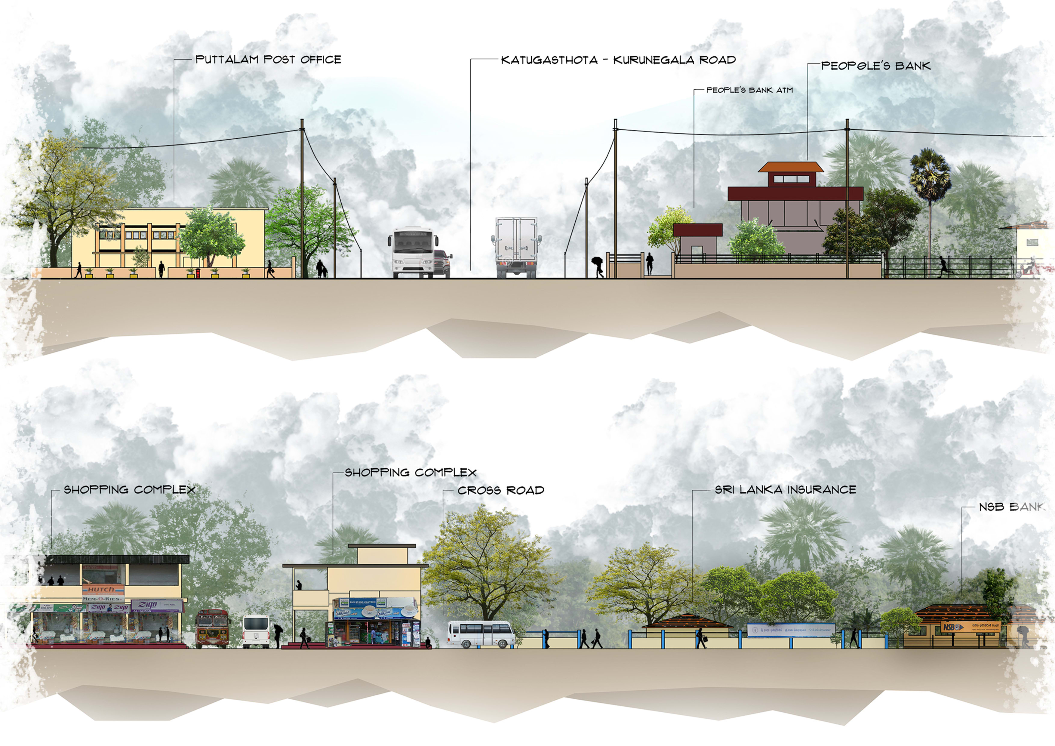 Landscape Architecture Section Elevation Drawings