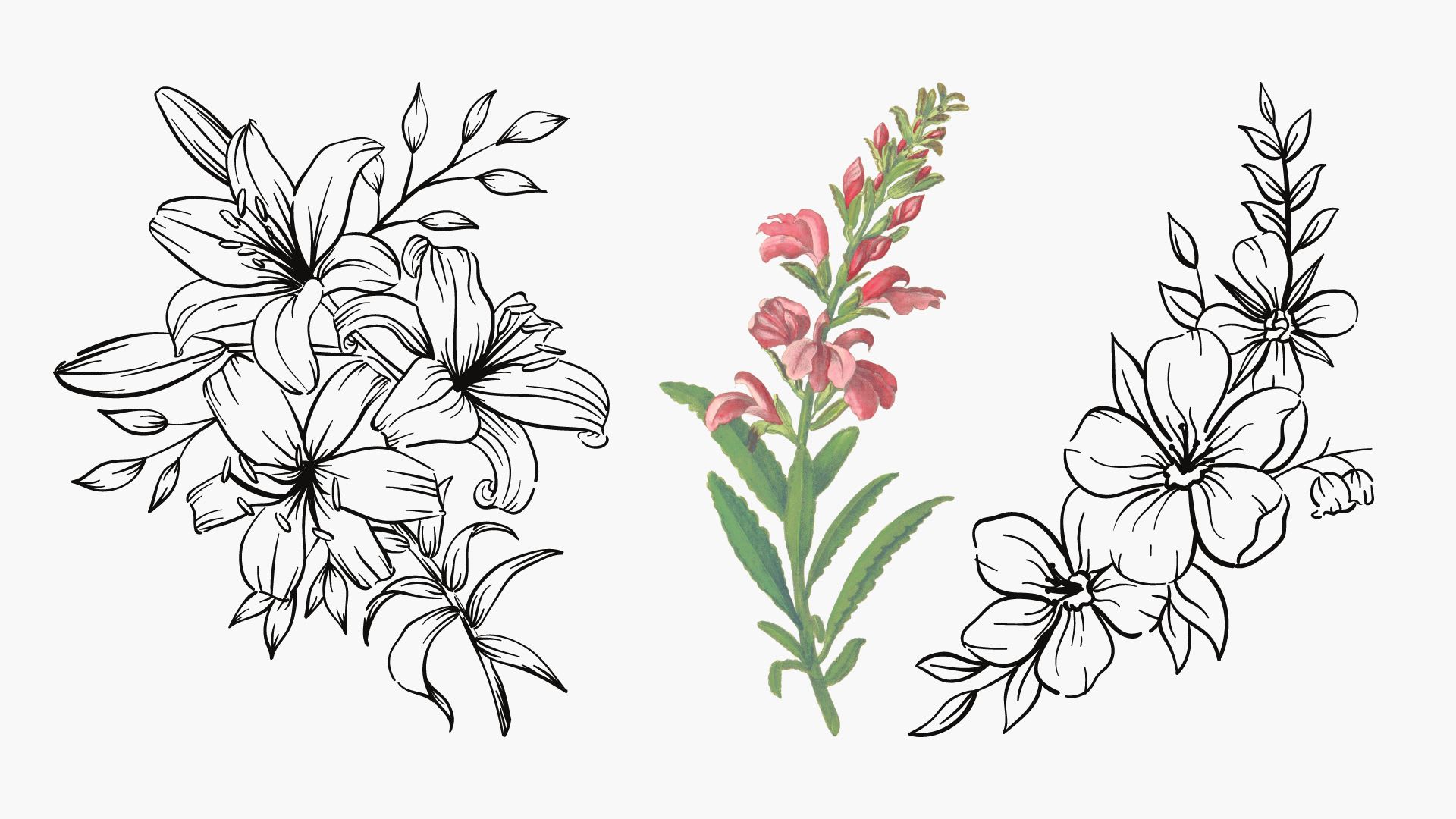 August Flower Tattoo Designs - Infoupdate.org