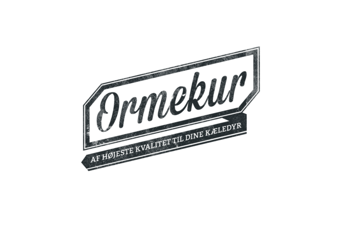 Design an original retro old logo by Borydesign