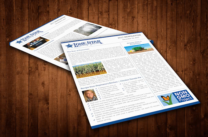 Design a professional newsletter, magazine or flyer by Dananjaya_95