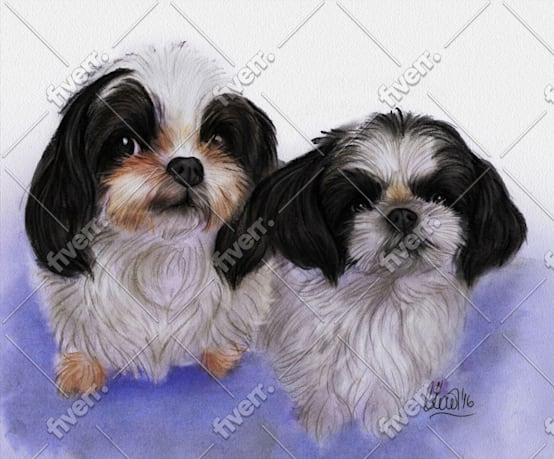 draw portrait of your pet | Fiverr