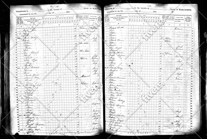 Do genealogy research for your family tree by Marygenealogy