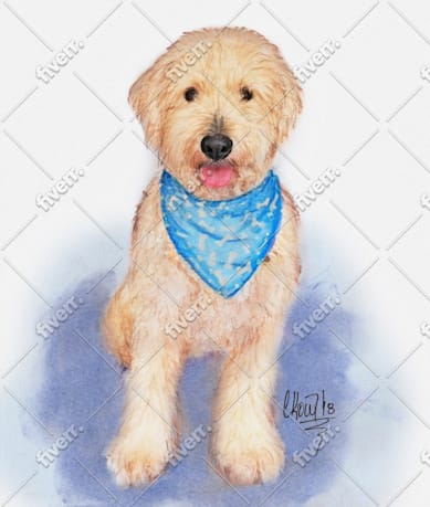 Draw portrait of your pet by Sanjicka