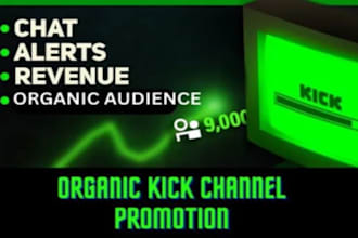 24 Best kick viewers Services To Buy Online | Fiverr