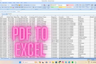 24 Best Pdf To Excel Conversion Services To Buy Online | Fiverr