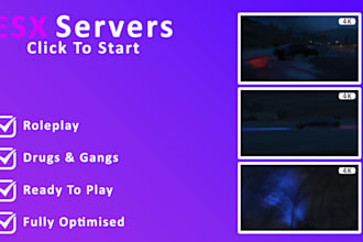 Top Fivem Developer Services - Enhance Your Gaming Experience