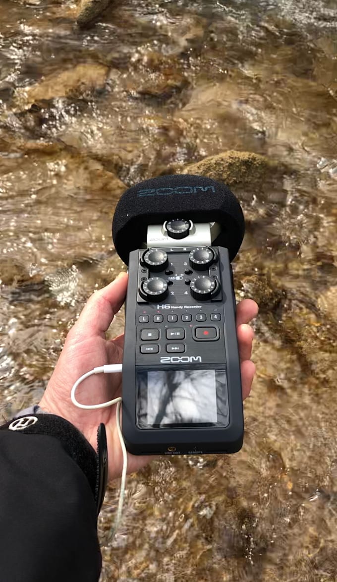 Record 30min natural live sound effects for your project by Sparrowneca ...