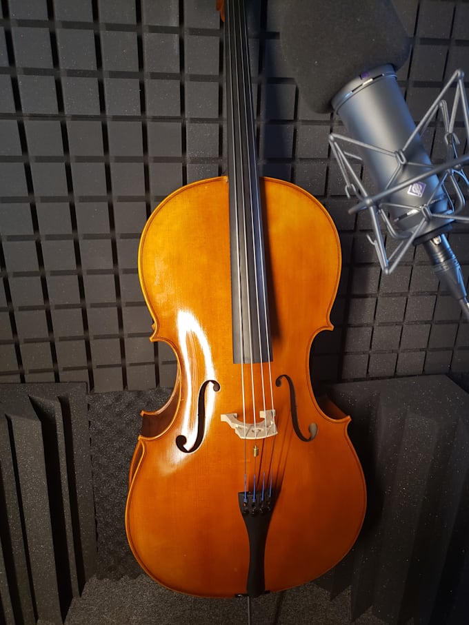 Record cello sounds and notes with professional mics by Cello_sounds ...