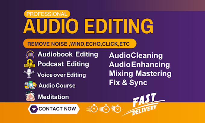 Do audio editing to remove background noise, wind, echo, repair, clean ...