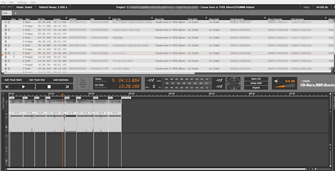 Create your ddp image for cd and vinyl printing by Ciccorea | Fiverr